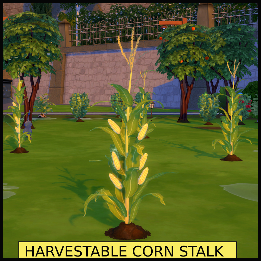 HARVESTABLE CORN - The Sims 4 Mods - CurseForge