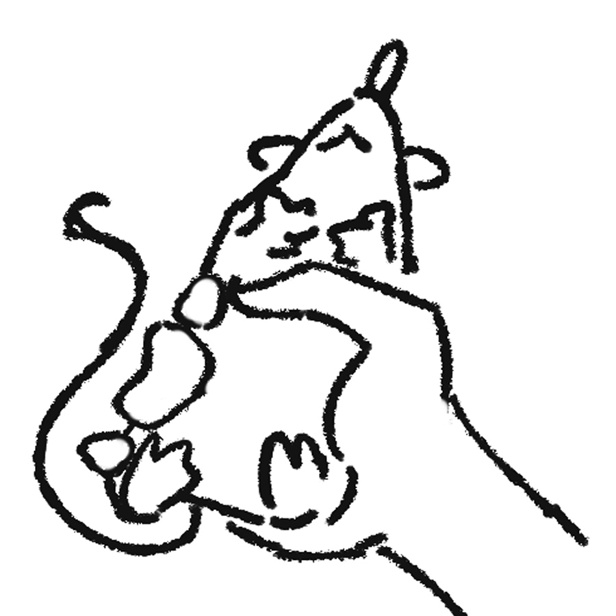 XerTech - Modpacks - Minecraft - CurseForge