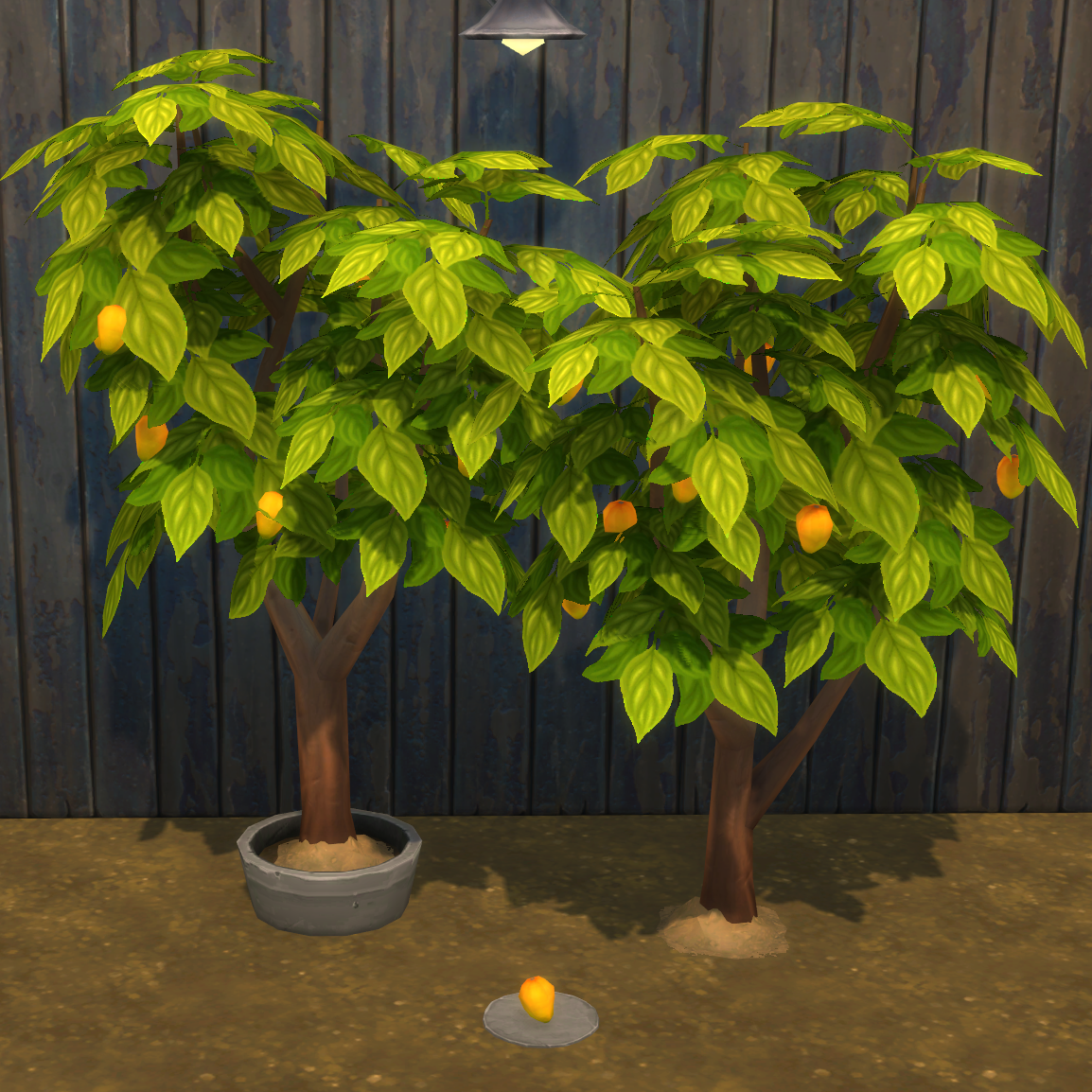 Mango Harvestable & Plant - The Sims 4 Mods - CurseForge