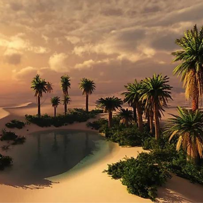 The Oasis Project - Minecraft Modpacks - CurseForge