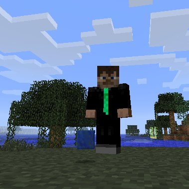 Overview - Pet Rocks - Bukkit Plugins - Projects - Bukkit