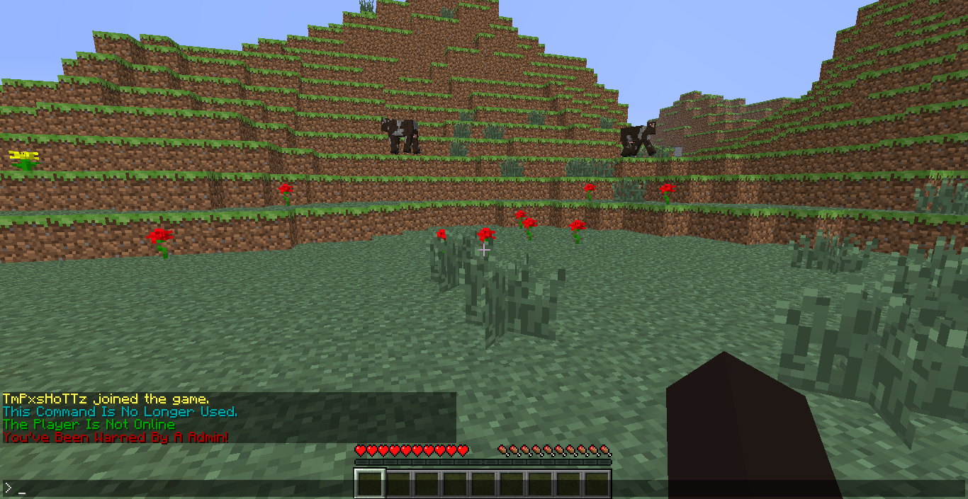 Overview - Warn - Bukkit Plugins - Projects - Bukkit