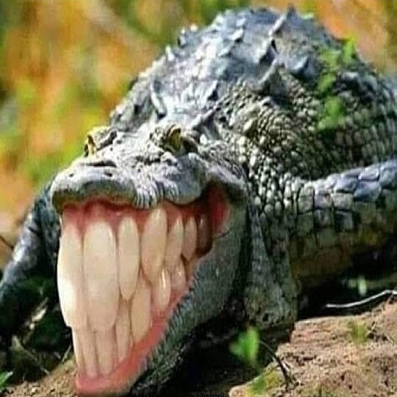 Create Riga - Minecraft Modpacks - CurseForge