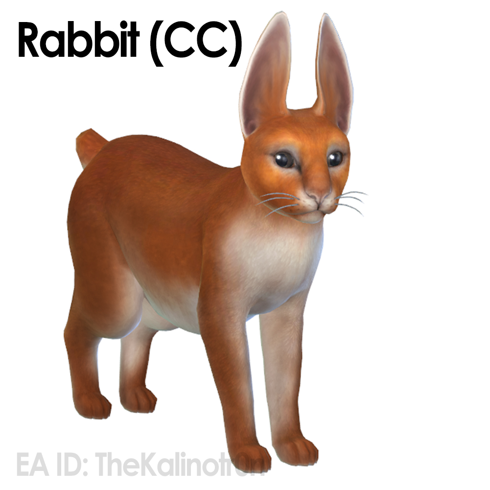 Rabbit (Cat) - The Sims 4 Pets - CurseForge
