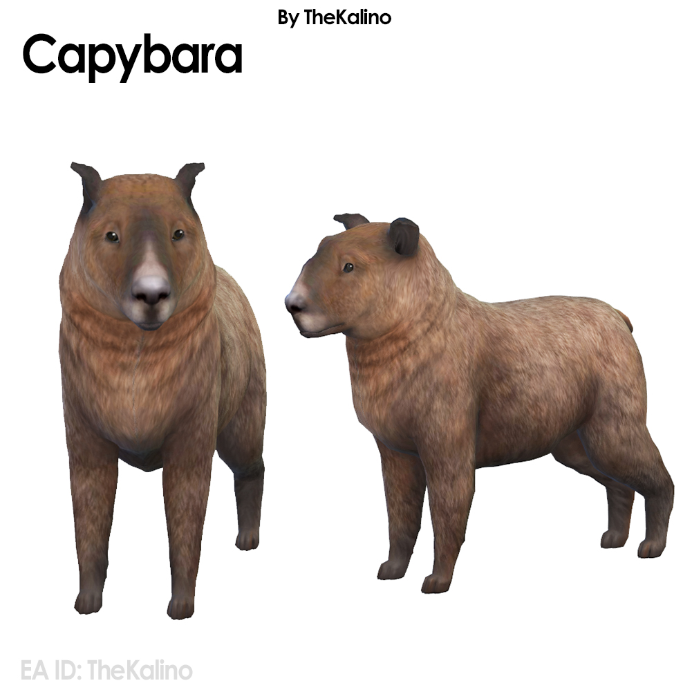 Capybara Dog - The Sims 4 Sims / Households - CurseForge