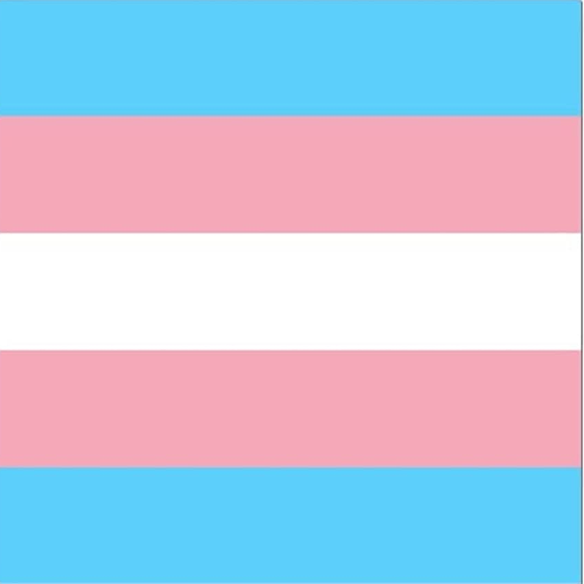 Ingame Gender Transition Mod - The Sims 4 Mods - CurseForge