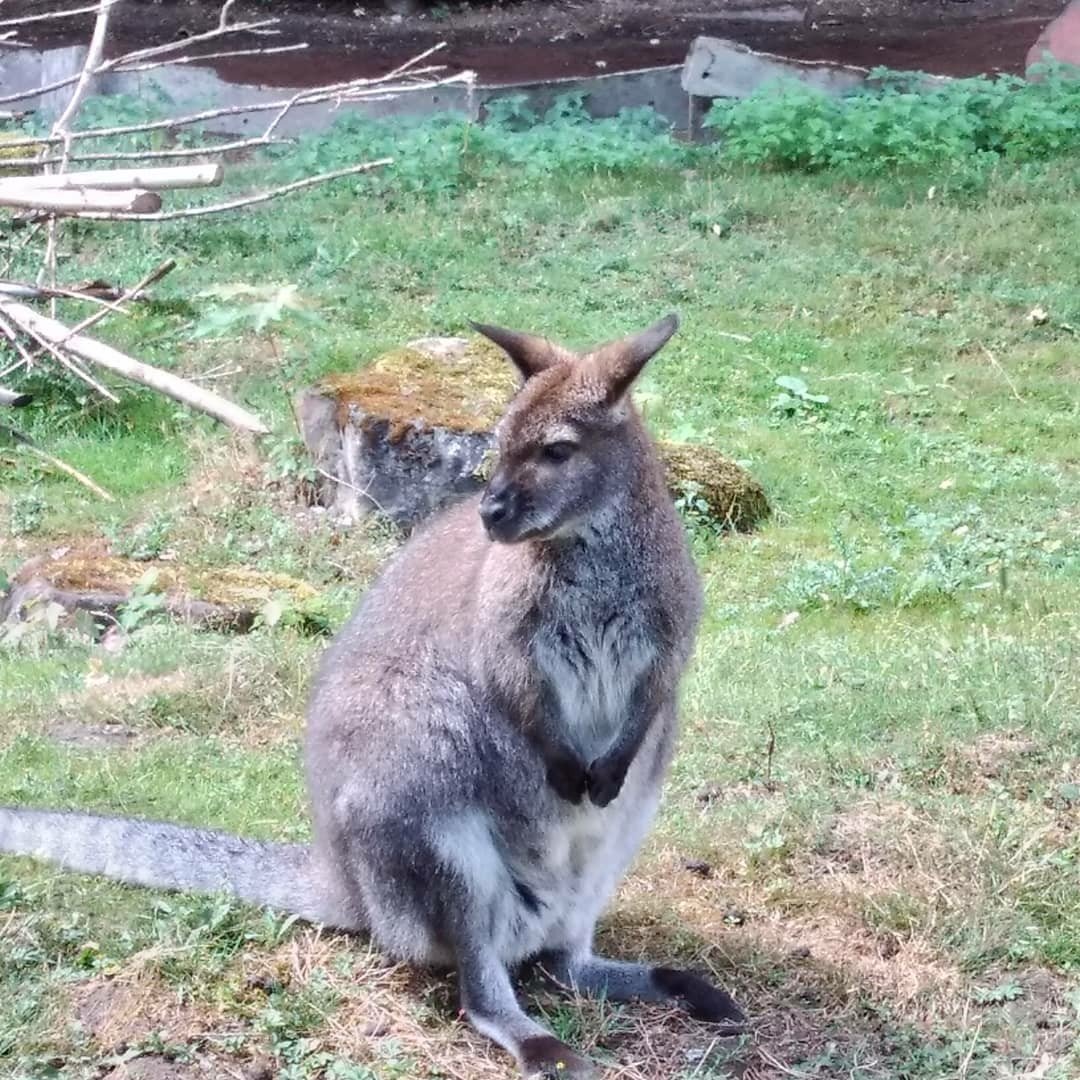 Ino's Create - Minecraft Modpacks - CurseForge