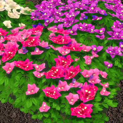 Bougainvillea Plants - The Sims 4 Build / Buy - CurseForge