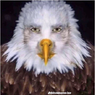 Install Insanity world - Minecraft Mods & Modpacks - CurseForge