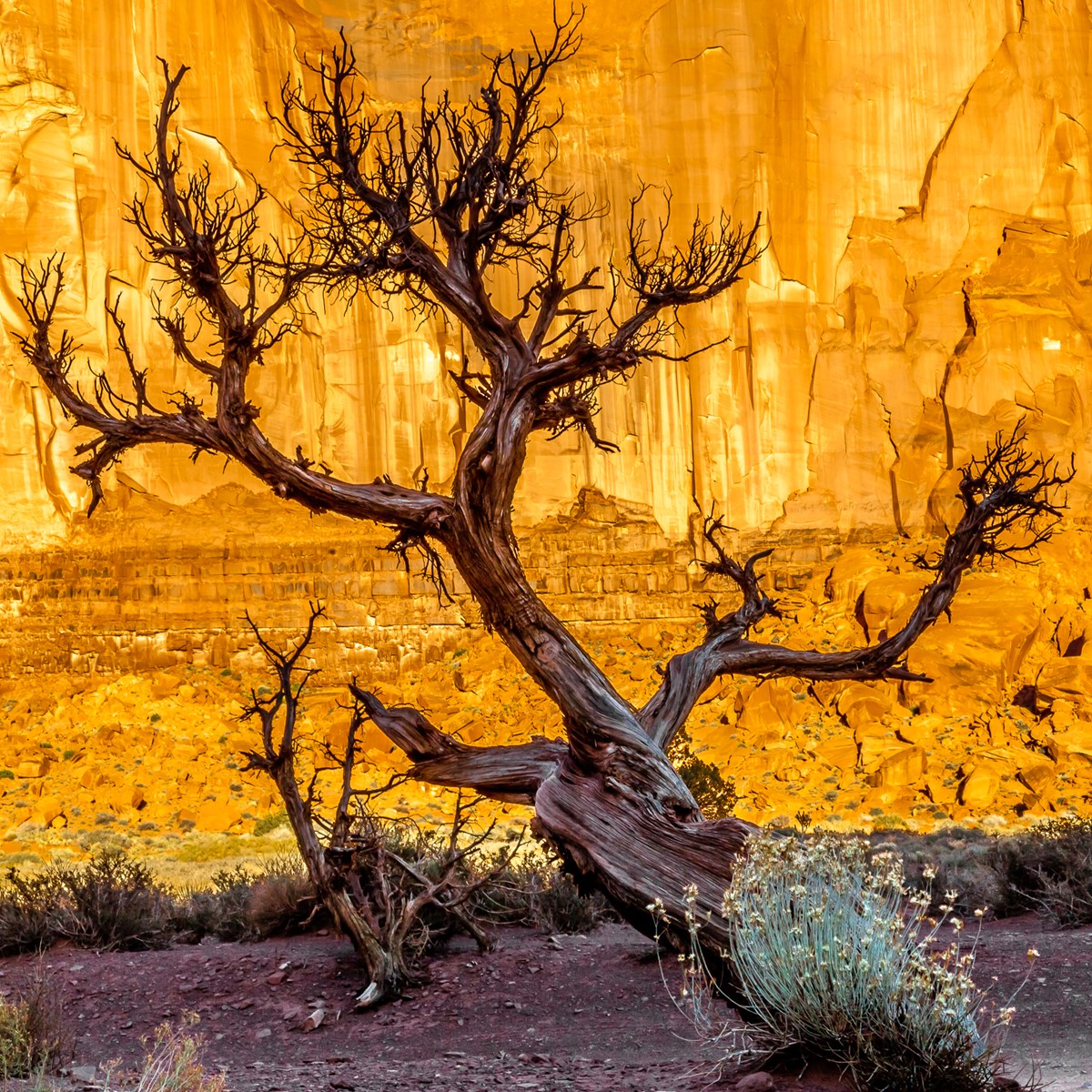 J B Farming Paradise - Minecraft Modpacks - CurseForge