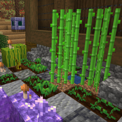 Hack0s Decoproject with friends [Forge] - Minecraft Modpacks - CurseForge