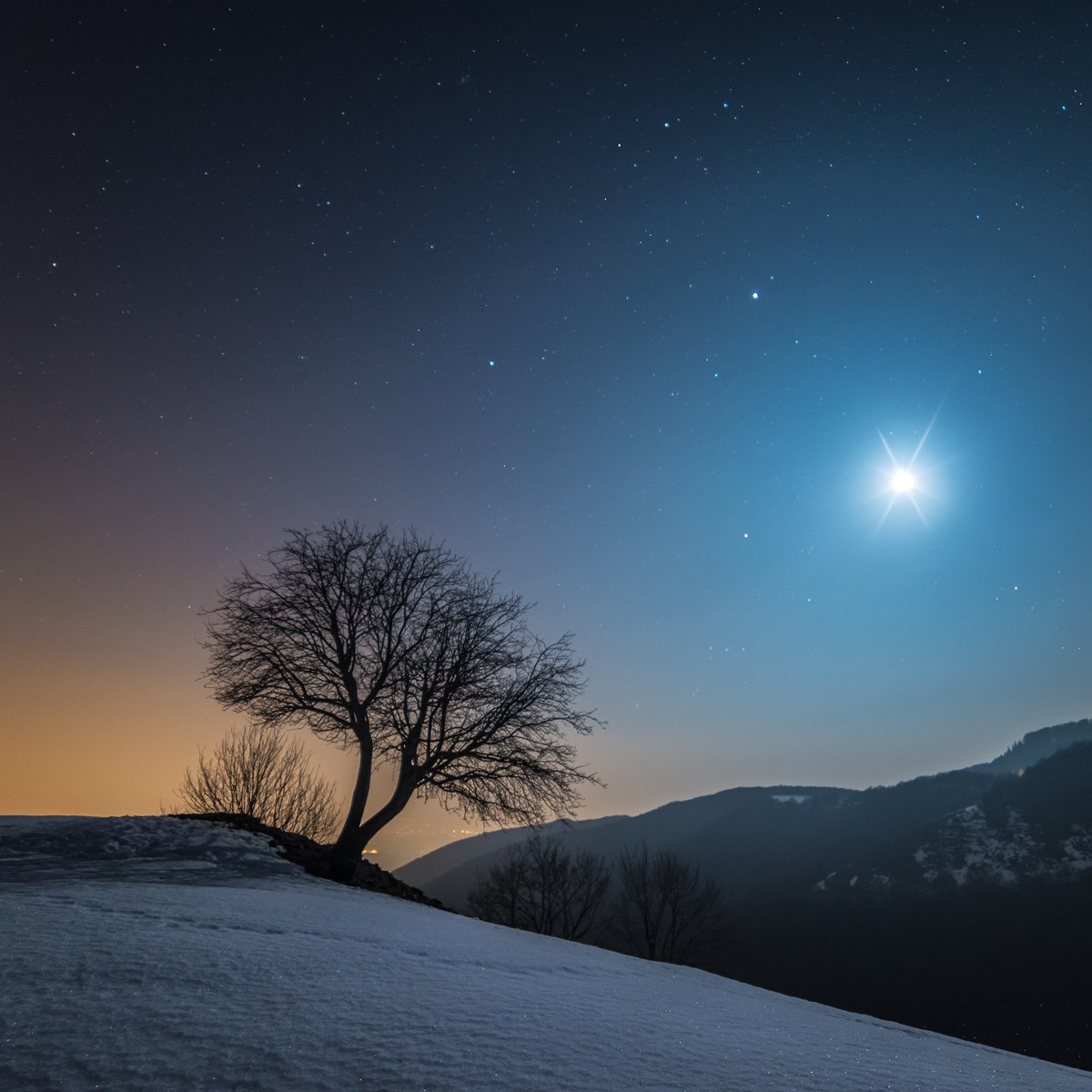 Alex's life - Minecraft Modpacks - CurseForge