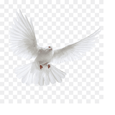 cancer - Minecraft Modpacks - CurseForge