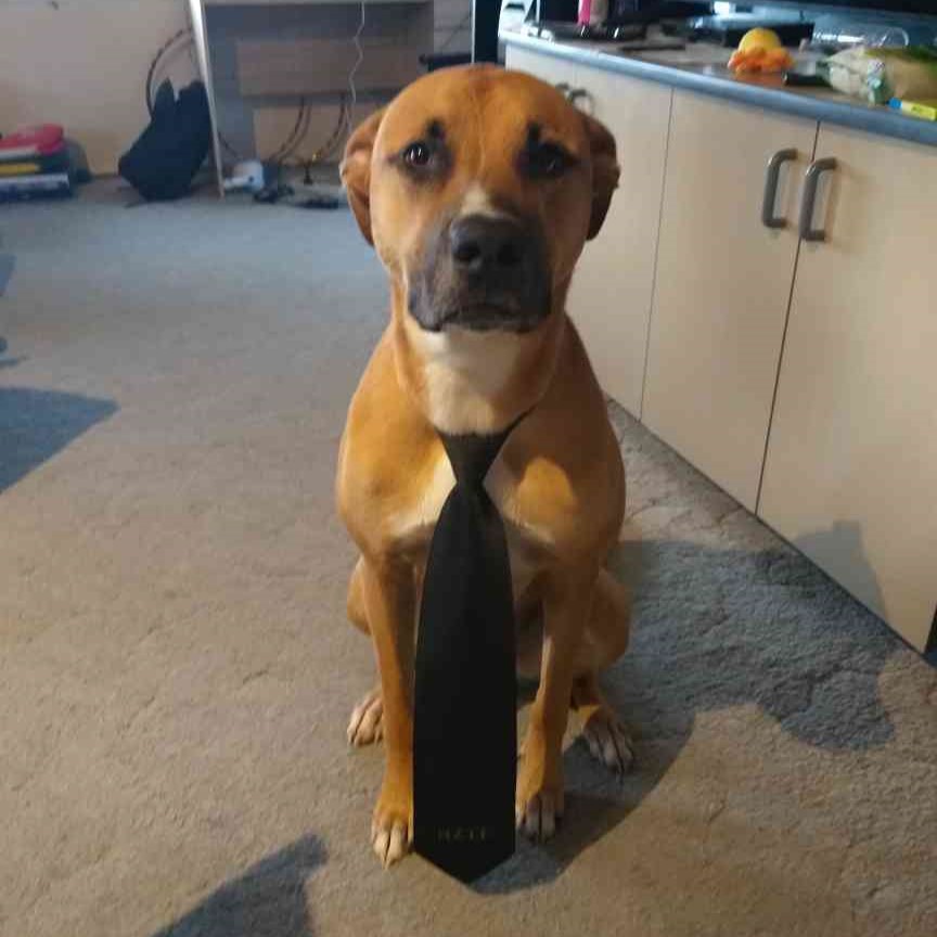 Sweet Chilli & Sour Cream - Minecraft Modpacks - CurseForge