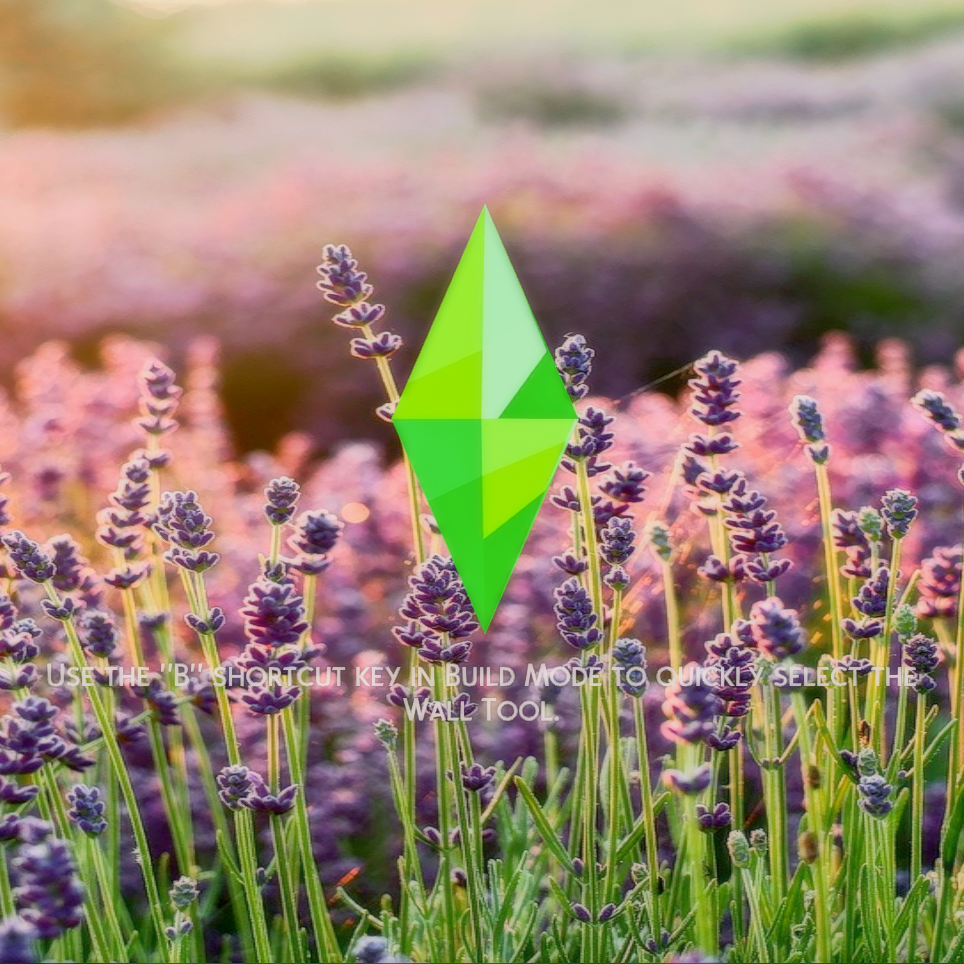 Lavender Fields Forever - A Custom Loading Screen - The Sims 4 Mods ...