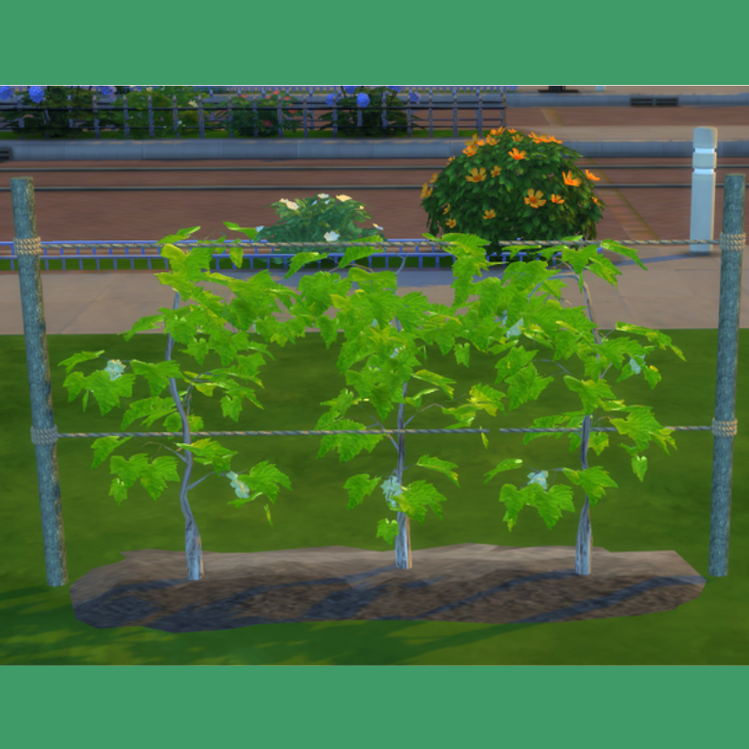 Grapes Rail Fence - The Sims 4 Build / Buy - CurseForge