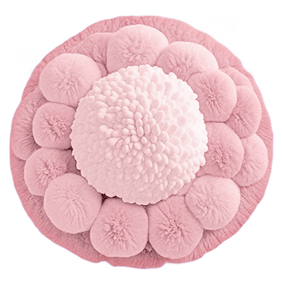 Download Pastel Fluffy Round Rug #19-Samtuse963 - The Sims 4 Mods ...