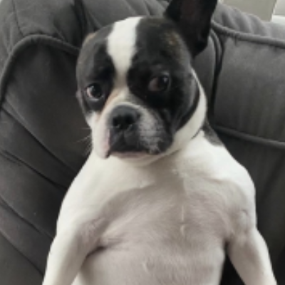 Download Boogie Pack - Minecraft Mods & Modpacks - CurseForge