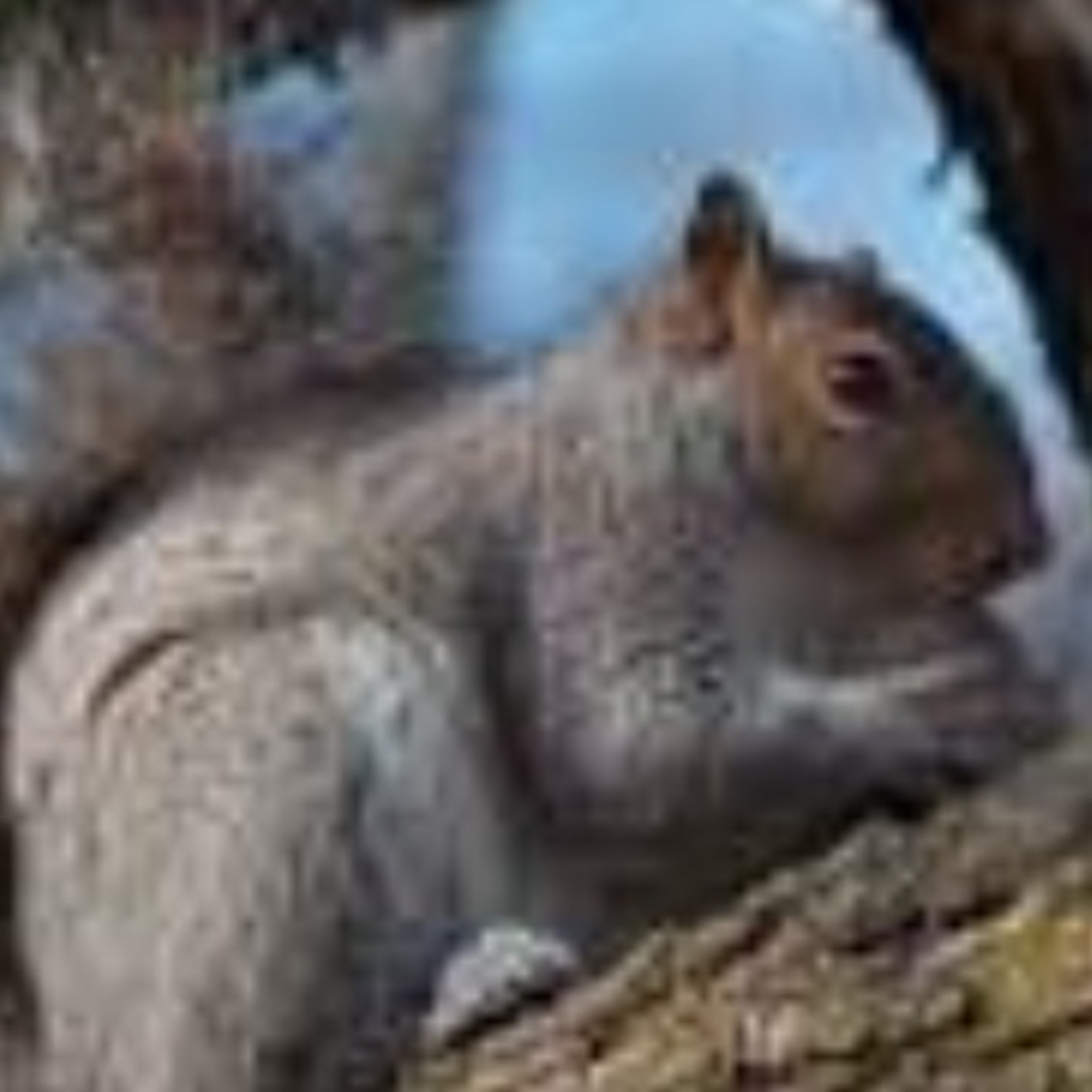 SculkHunt For Aternos - Minecraft Modpacks - CurseForge