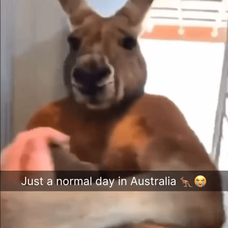 Legend of Australia - Minecraft Modpacks - CurseForge