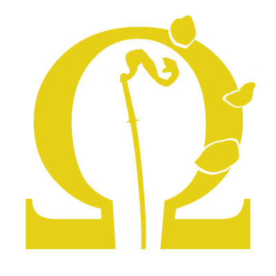 Omega's Survival Pack - Minecraft Modpacks - CurseForge