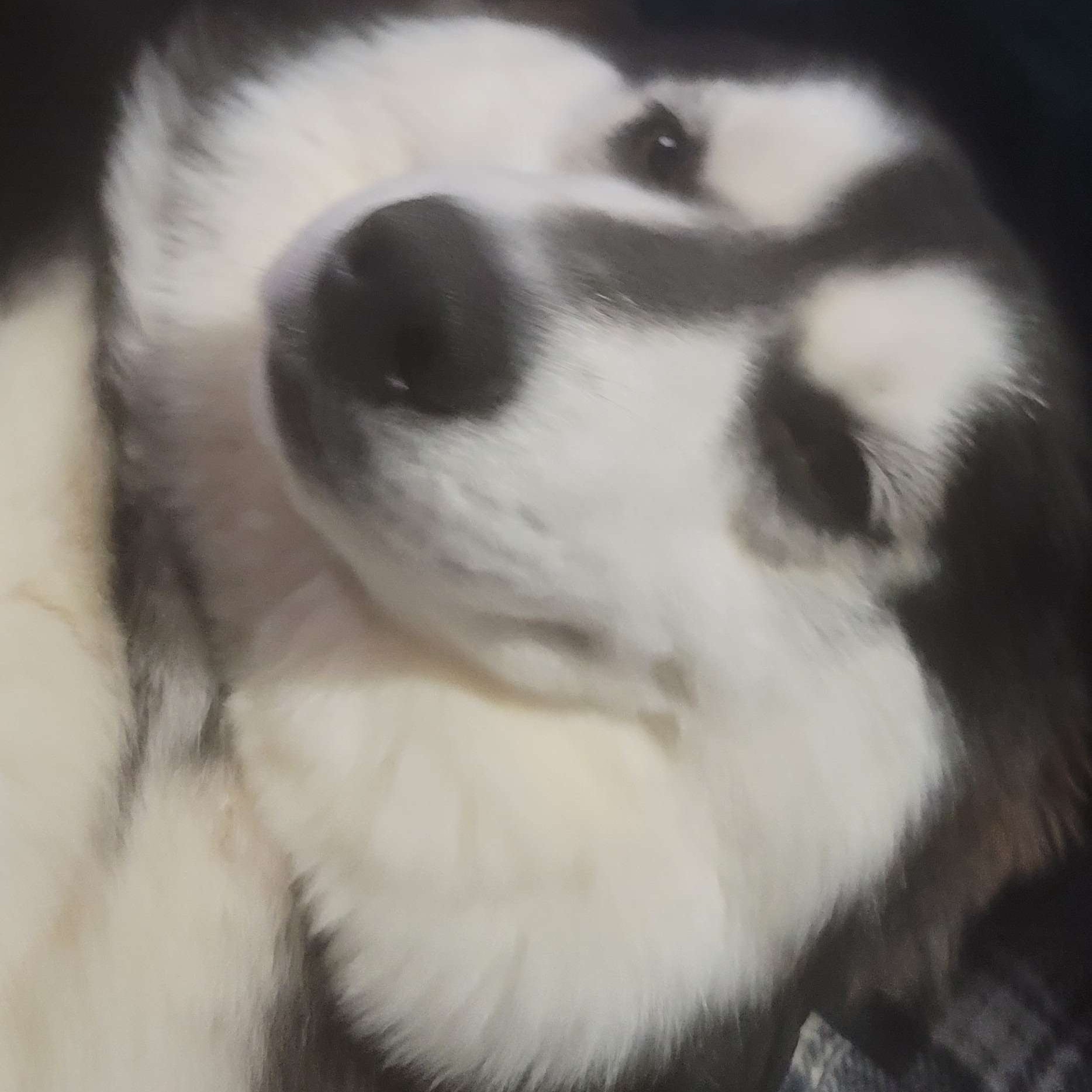 Jelly & Mold Soup : Forge - Minecraft Modpacks - CurseForge