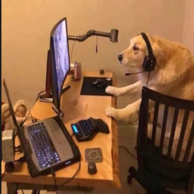 Gamer Dog's Gooncraft - Minecraft Modpacks - CurseForge