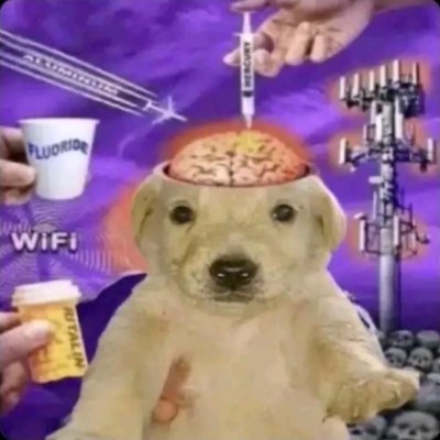 Gyat Craft - Minecraft Modpacks - CurseForge