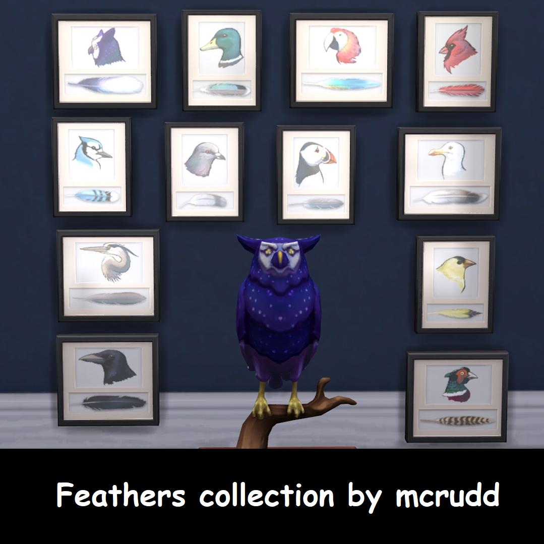 Feather collection - The Sims 4 Rooms / Lots - CurseForge