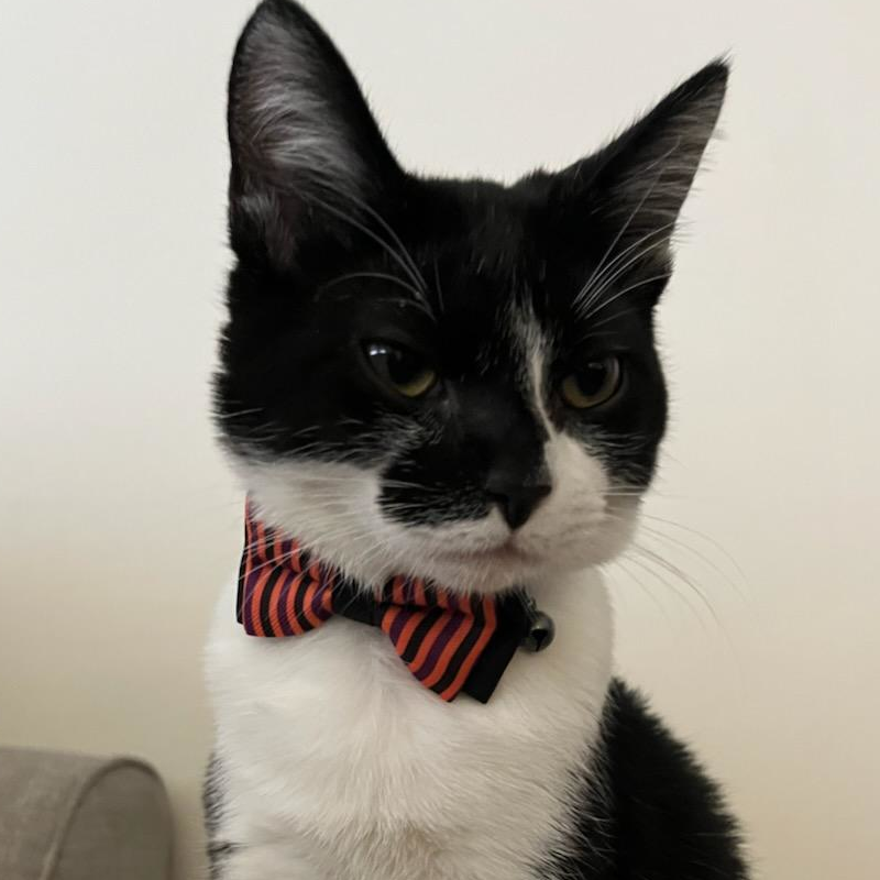 Cisco's Adventures - Minecraft Modpacks - CurseForge