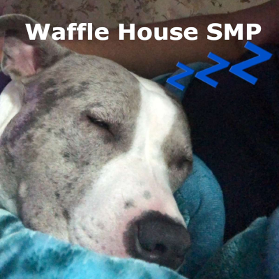 Waffle House SMP - Minecraft Modpacks - CurseForge