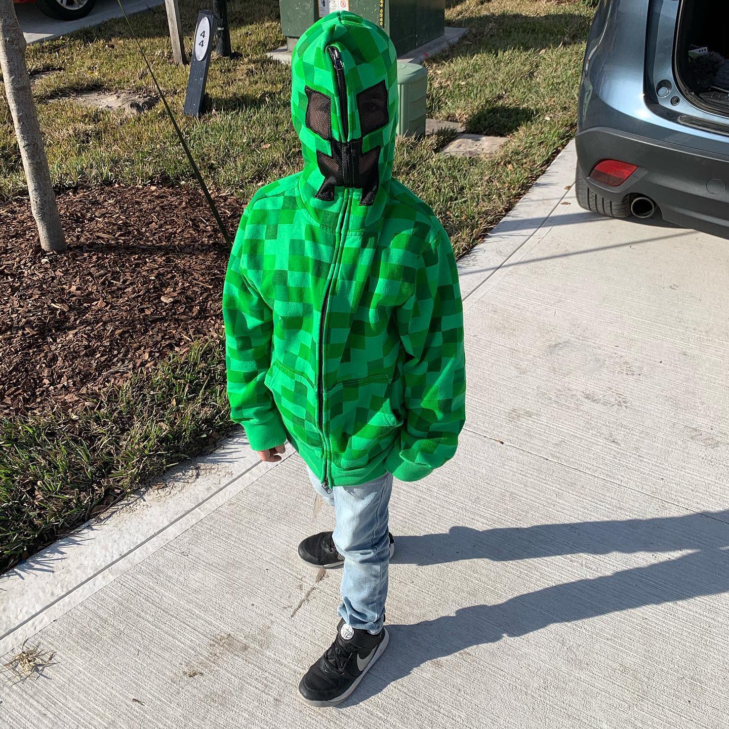 Insomnia Vanilla Plus - Minecraft Modpacks - CurseForge