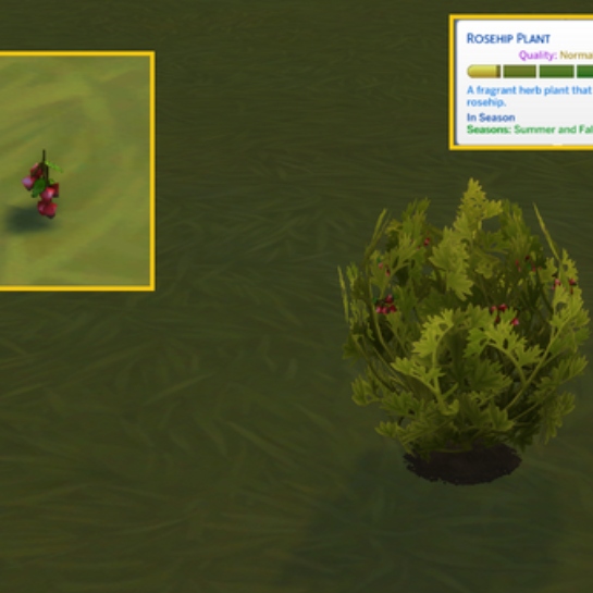 Rosehip (harvestable) by Pied Piper Spanish translation - Mods - The Sims 4