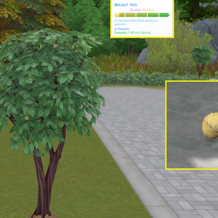 Walnut (harvestable) by Pied Piper Spanish translation - Mods - The Sims 4