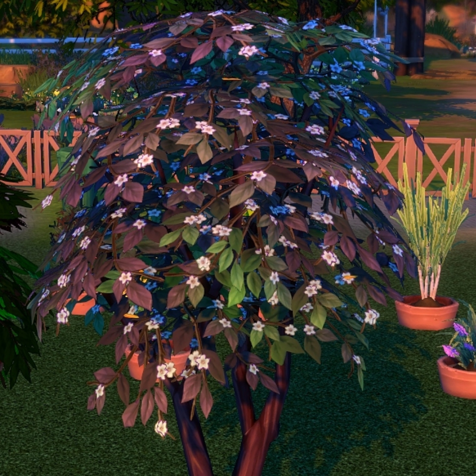 Harvestable Almond by Pied Piper Spanish translation Download - Mods ...