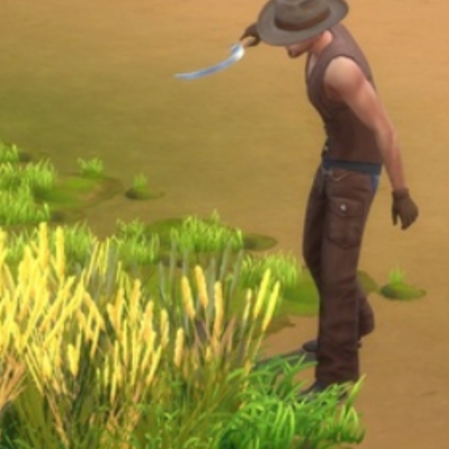 Wild Wheat Meadow by Serinion Spanish translation Download - Mods - The ...