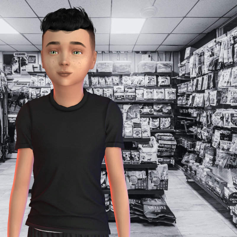 Child Careers: Pet Store - Mods - The Sims 4