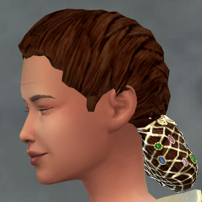 TSM French Braid with Jewelled Hairnet - The Sims 4 Create a Sim ...