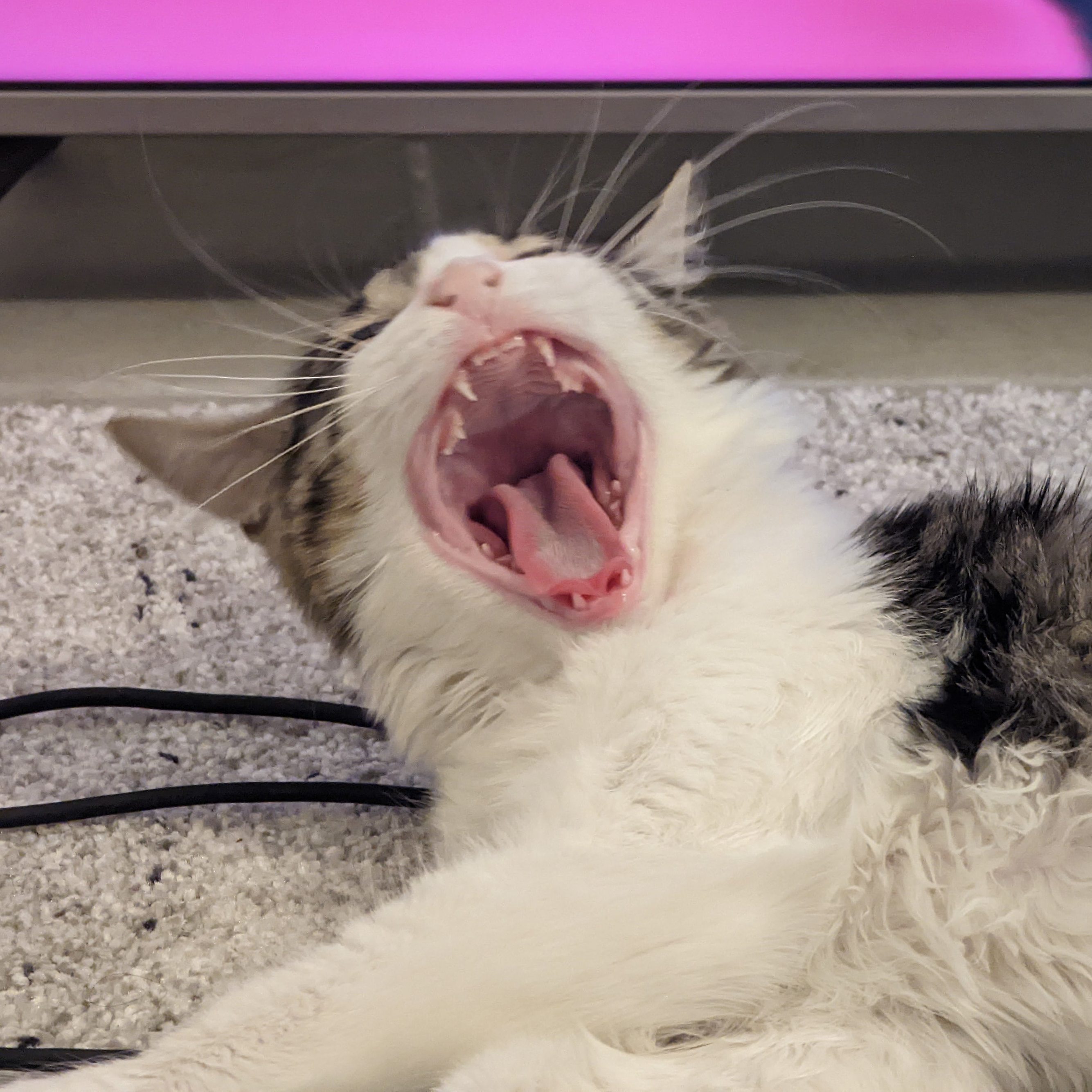 Tofu adventure craft - Minecraft Modpacks - CurseForge