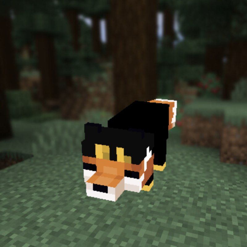 fundy Foxes - Minecraft Resource Packs - CurseForge