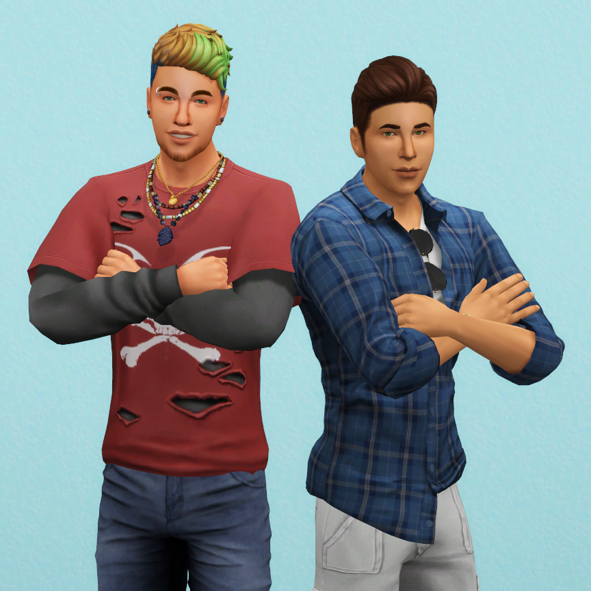 The Bro - The Sims 4 Sims / Households - CurseForge