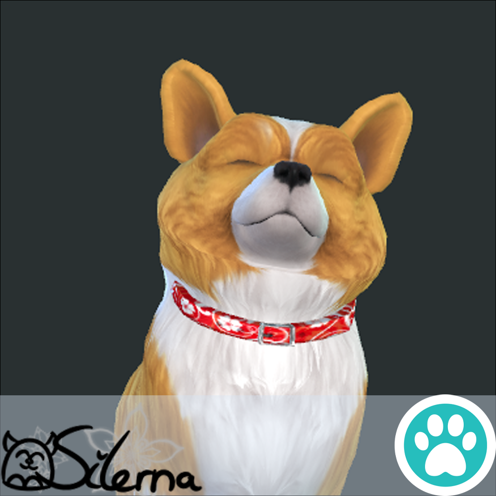 Download Rex (small dogs) - The Sims 4 Mods - CurseForge