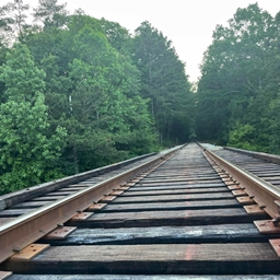 DreamSMP Worldmap - Minecraft Worlds - CurseForge