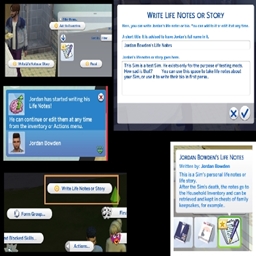 Install Sim-by-Sim custom notes / bios by Lumpinou Spanish Translation ...