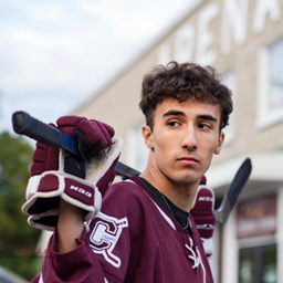 Destiny Gaming - Files - Minecraft Modpacks - CurseForge