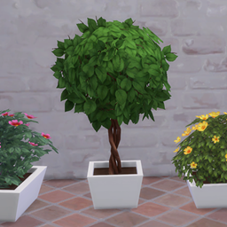 [Veranka] KiKi Plants pt. 2 - The Sims 4 Build / Buy - CurseForge