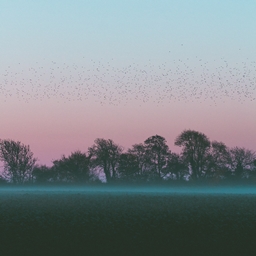 Sunrise Ss Minecraft Modpacks Curseforge