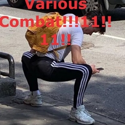 Various Combat - Minecraft Data Packs - CurseForge