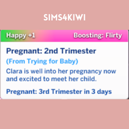Pregnancy Changes - The Sims 4 Mods - CurseForge