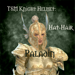 TSM Knight Helmet: Paladin, with Hair Attached - The Sims 4 Create a ...